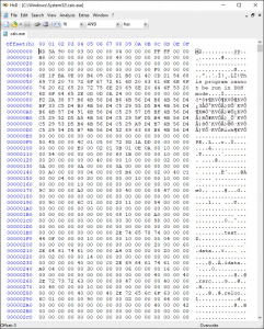 A Comprehensive Guide To PE Structure, The Layman's Way